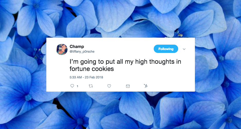 High Thoughts from the Cannababe Community Vol. 1 – HeyHelloHigh ...